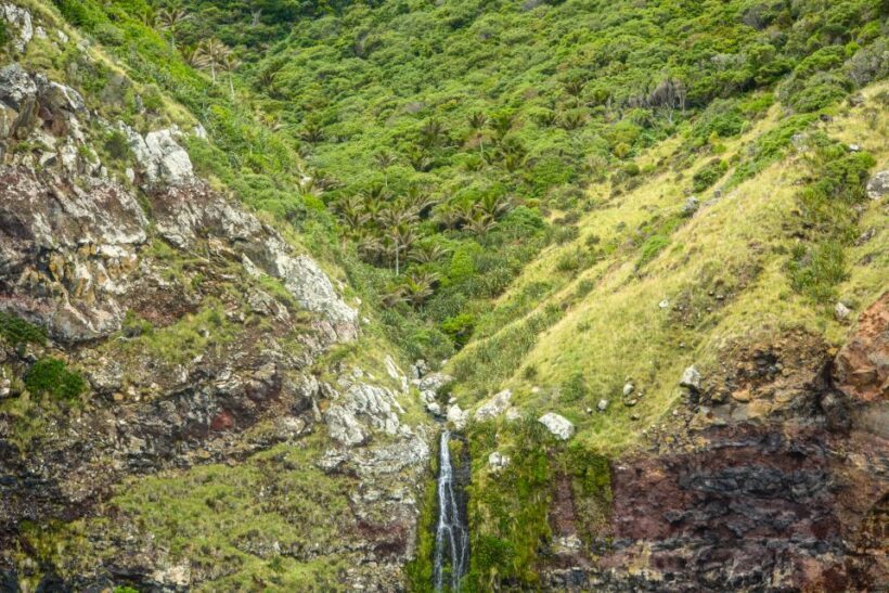Akaroa: Dolphin Nature Cruise - Final Words