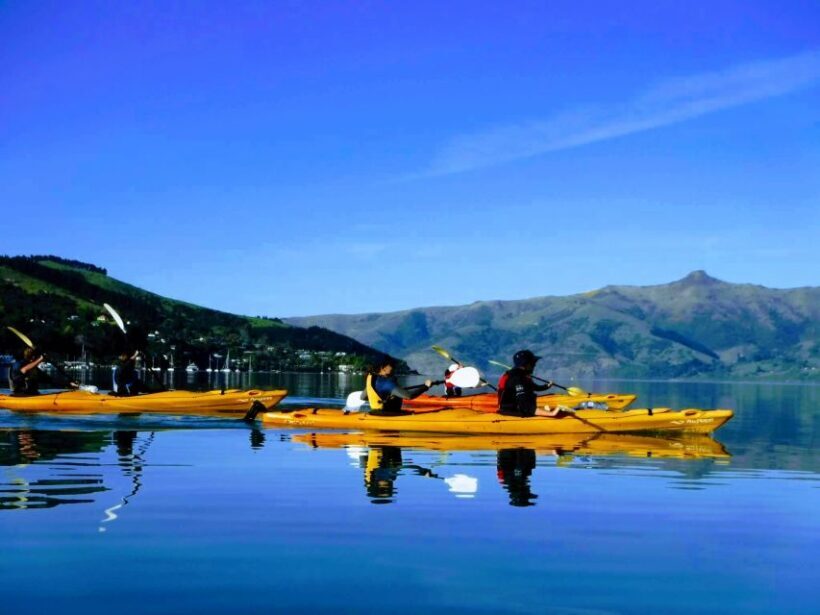 Akaroa: Electric Mountain Bike and Sea Kayak Adventure - An Inside Look at the Tour Experience