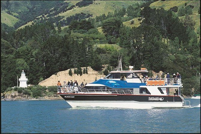 Akaroa Full Day Sightseeing Tour from Christchurch - Starting Point: Ease of Access and Comfort