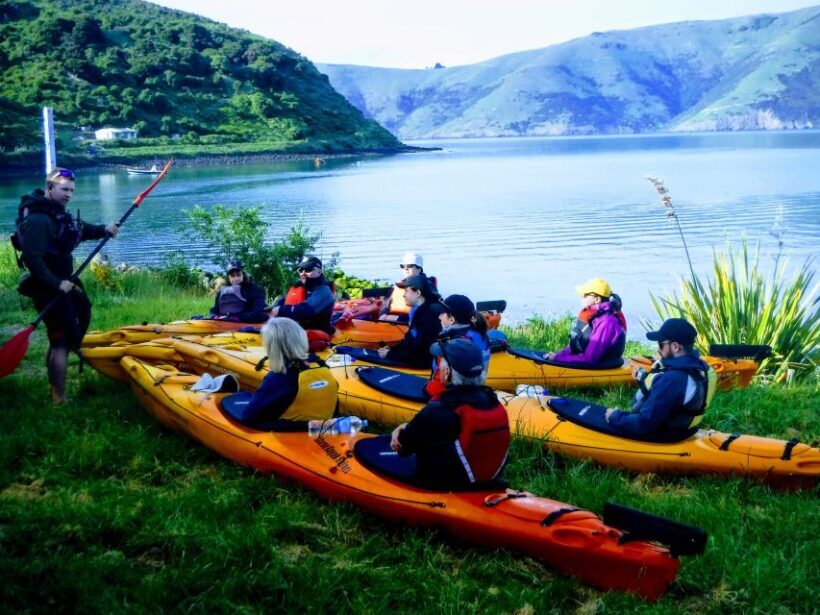 Akaroa: Guided Sunrise Sea Kayaking Tour - The Sum Up