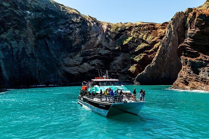 Akaroa Harbour Nature Cruise - What to Expect on Your Akaroa Harbour Cruise