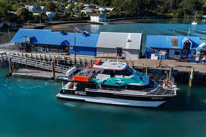 Akaroa Harbour Nature Cruise - Final Thoughts