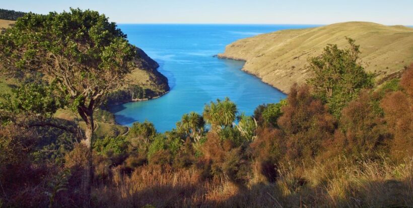 Akaroa: Pohatu Penguins Scenic Nature 2-Hour or 4-Hour Tour - Starting Point and Transportation