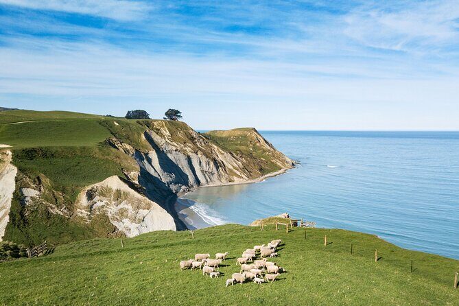 Akaroa Private Day Tour From Christchurch (Carbon Neutral) - Final thoughts