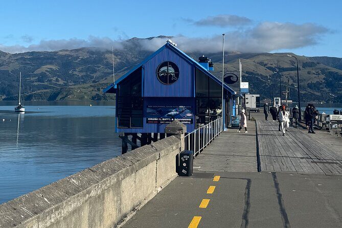 Akaroa Private Day Tour from Christchurch - The Itinerary: What You Can Expect