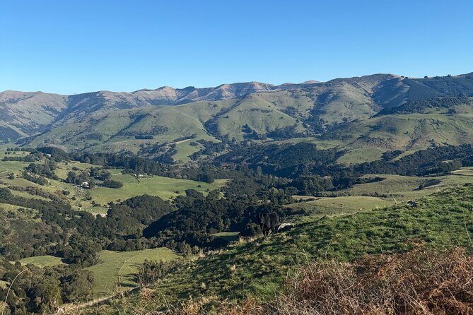 Akaroa Private Day Tour from Christchurch - FAQs
