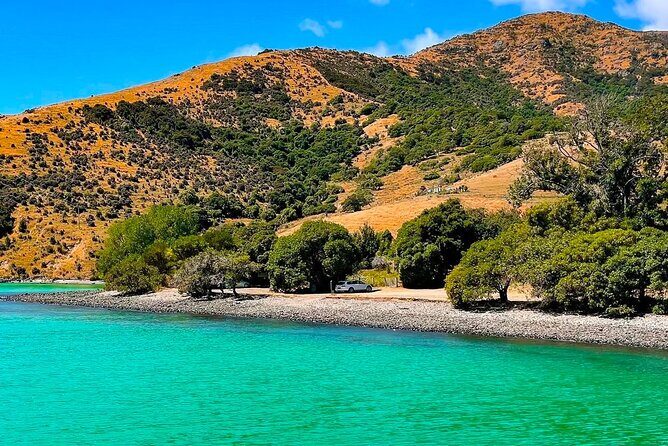 Akaroa Private Day Trip From Christchurch - A Gentle Introduction to the Tour