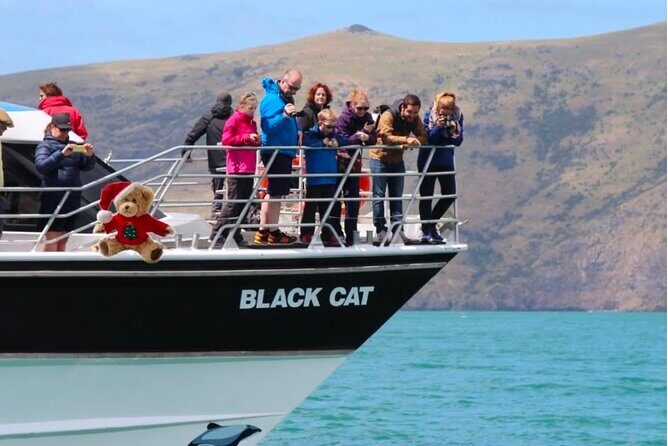 Akaroa Private Day Trip From Christchurch - Who Will Love This Tour?