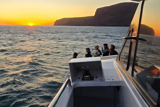Akaroa Private Day Trip From Christchurch - Final Thoughts