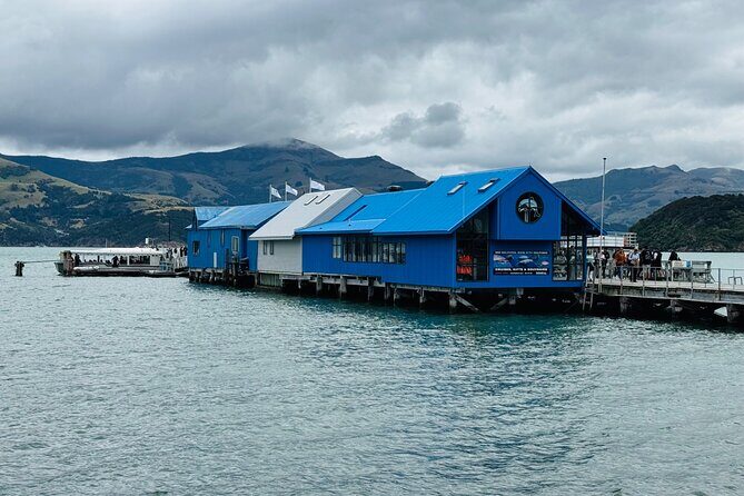Akaroa Private Group Day Trip from Christchurch - Scenic Highlights – What You’ll See and Why It Matters