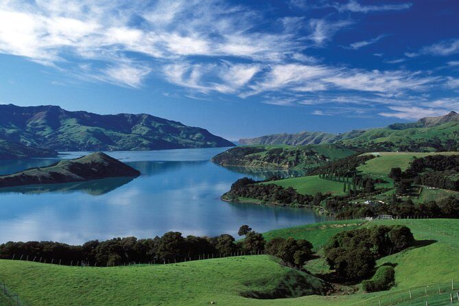 Akaroa Shore Excursion: Akaroa Harbour and Giants House Local Tour - An Efficient Introduction to Akaroas Charm