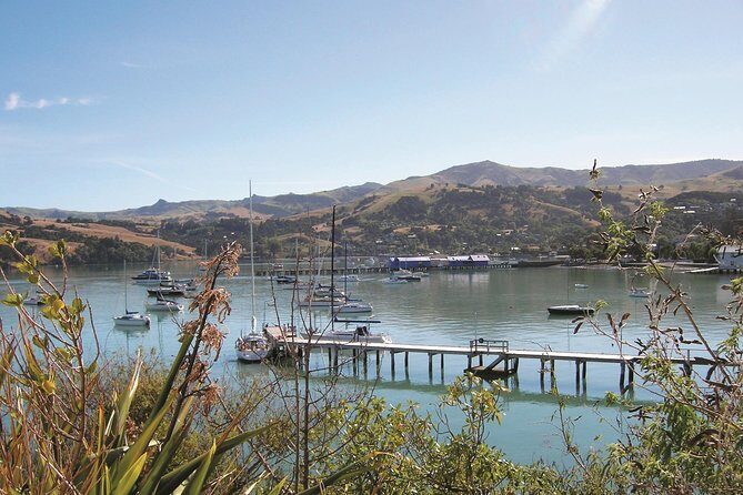 Akaroa Shore Excursion: Banks Peninsula and Christchurch City Sights Tour - Analyzing the Experience
