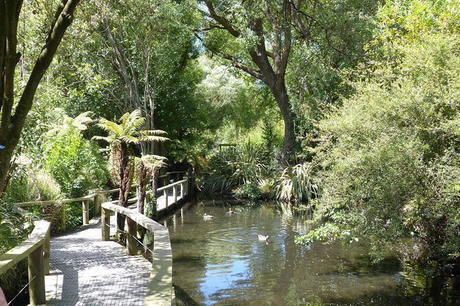 Akaroa Shore Excursion: Banks Peninsula, Christchurch City Tour and Willowbank Wildlife Reserve - Practical Details and Tips