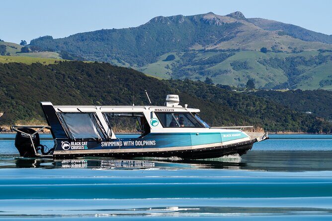 Akaroa Swim with Dolphins Tour from Christchurch - The Itinerary in Detail: What You Can Expect