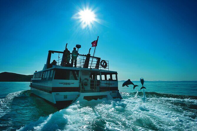Akaroa Swim with Dolphins Tour from Christchurch - Frequently Asked Questions