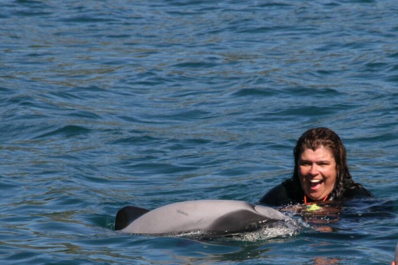 Akaroa: Swimming with Wild Dolphins Experience - A Detailed Look at the Akaroa Dolphin Swim Tour