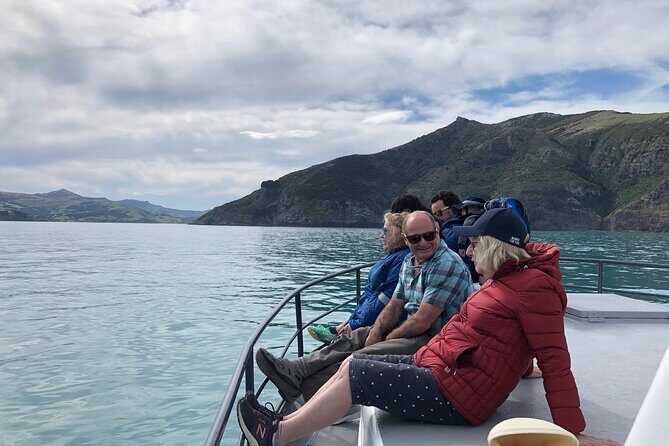 Akaroa Wildlife Cruise - Discovering Akaroa’s Marine Wealth