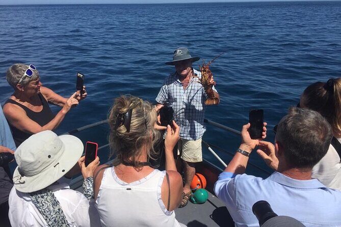 Akaroa Wildlife Cruise - A Closer Look at the Trip Logistics