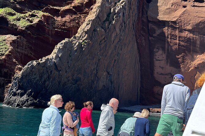 Akaroa Wildlife Cruise - Who Will Love This Tour?