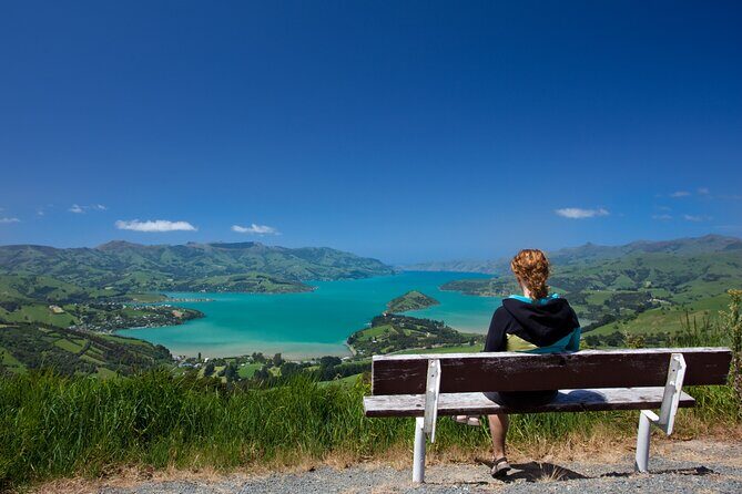 Akaroa with optional dolphin cruise (Small Group Tour) - Authentic Experiences and Highlights
