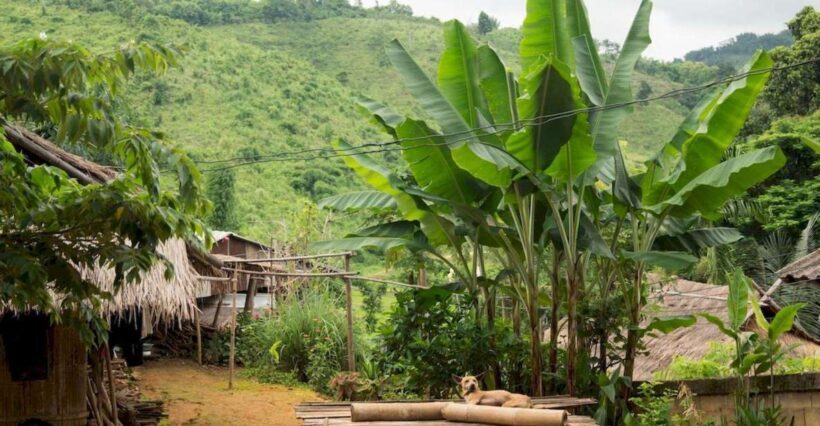 Akha & Lahu village trekking 1 day - Key Points