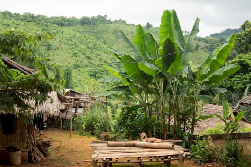 Akha & Lahu village trekking 1 day - Practical Details and Value