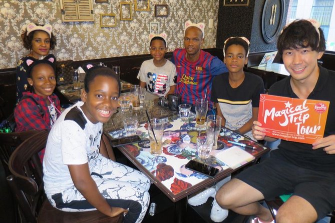 Akihabara Anime & Gaming Adventure Walking Tour - Negative Feedback and Areas for Improvement