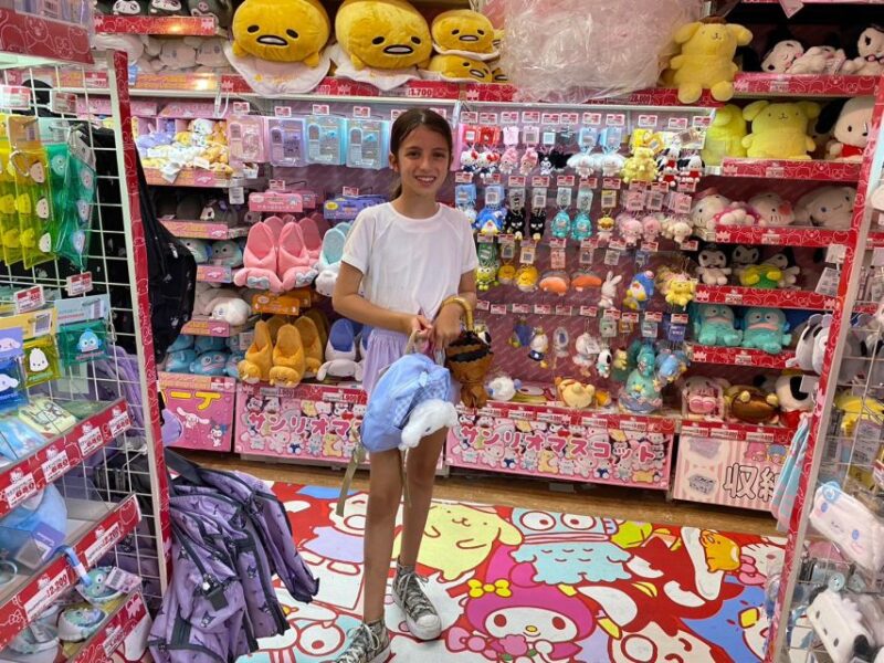 Akihabara Free for Kids Anime Eats and Games With A Guide - Booking and Cancellation Policy