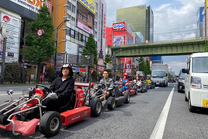 Akihabara: Go-Kart Experience With Local Guide in Tokyo - Requirements