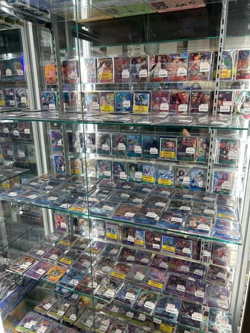 Akihabara PopCulture Tour with Maid Cafe and UFO Catcher Fun - Final Thoughts