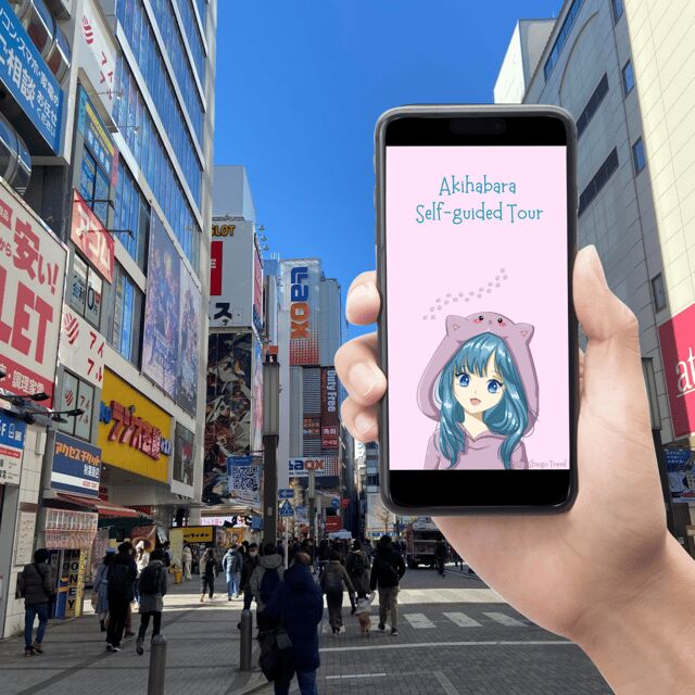 Akihabara: Self-Guided Tour with a special brochure - The Experience: A Closer Look at the Highlights