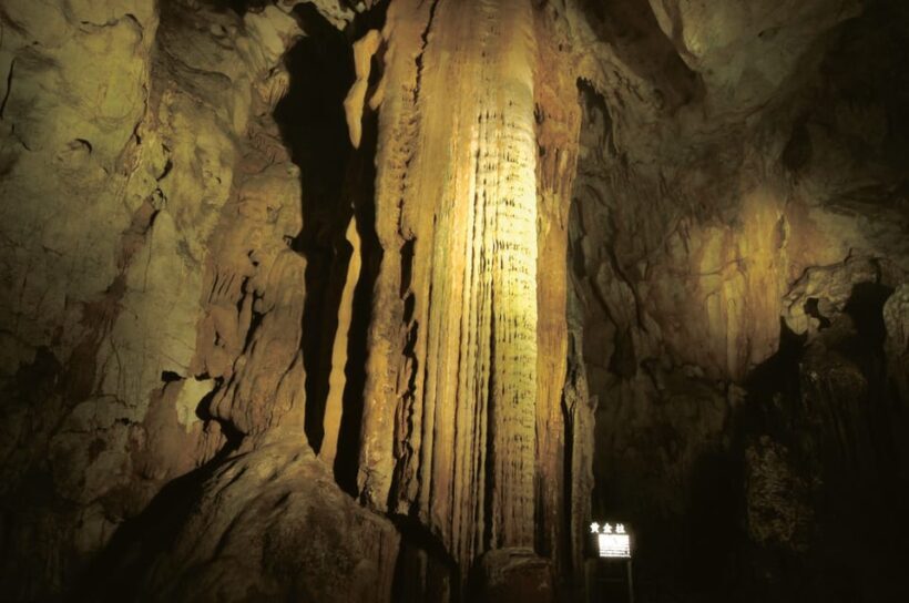 Akiyoshido Cave: Entrance Ticket - Key Points