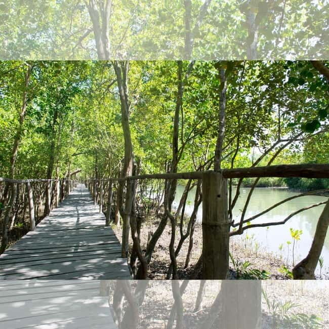 Aklan Vibrant Kalibo Tour (Half Day) - Exploring Kalibo: What to Expect from the Tour