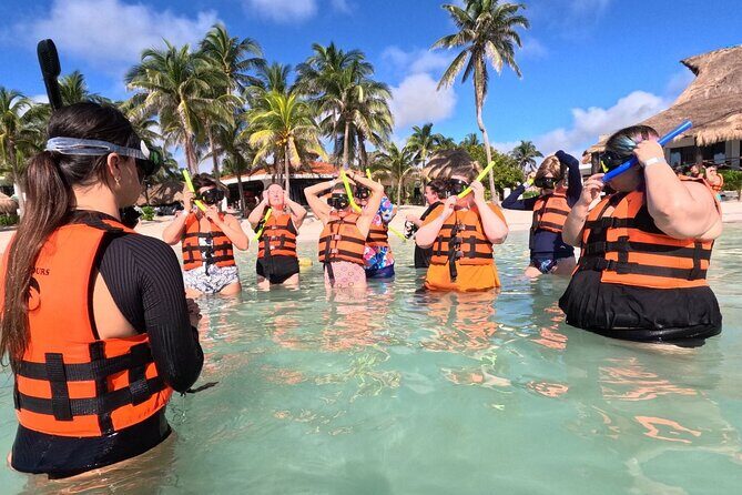 Akumal Adventure with Swimming with Turtles, Cenotes, Mexican Lunch. - The Practical Side: Transportation, Price, and Group Size