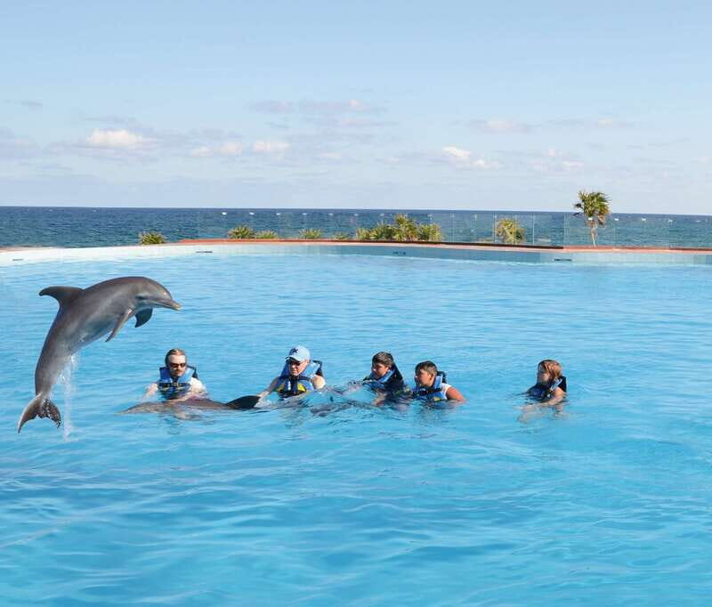 Akumal: Dolphin Encounter - Key Points