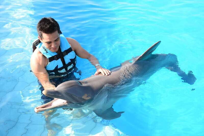 Akumal: Dolphin Encounter - Core Considerations for Your Visit