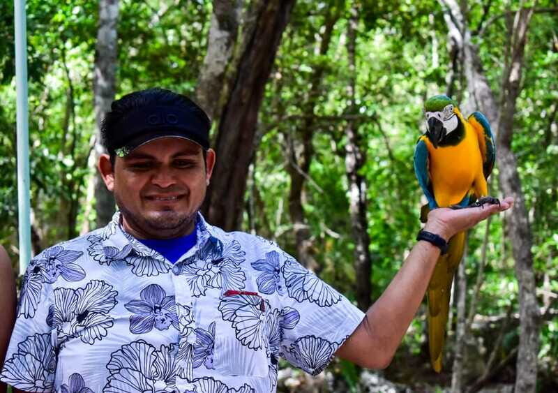 Akumal: Explore the Monkey Sanctuary, ATV Circuit and Cenote - A Closer Look at the Experience