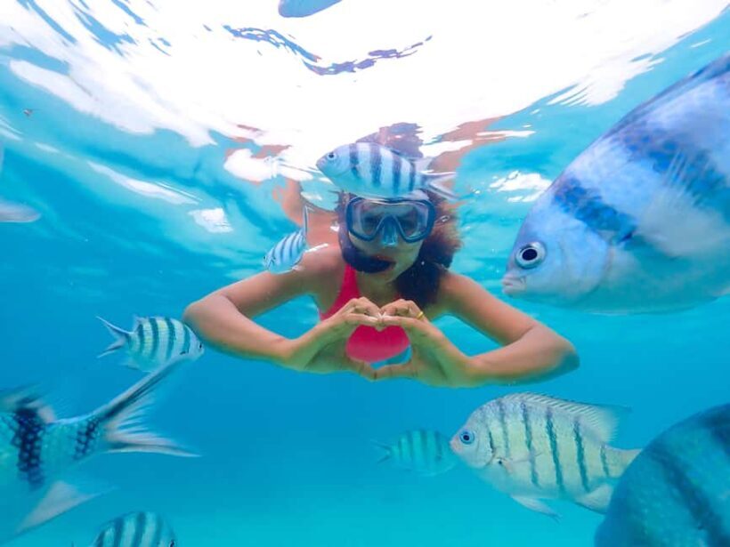 Akumal: Snorkeling Adventure with Turtles and Marine Life - The Experience at Tsuuk Akumal Natural Park