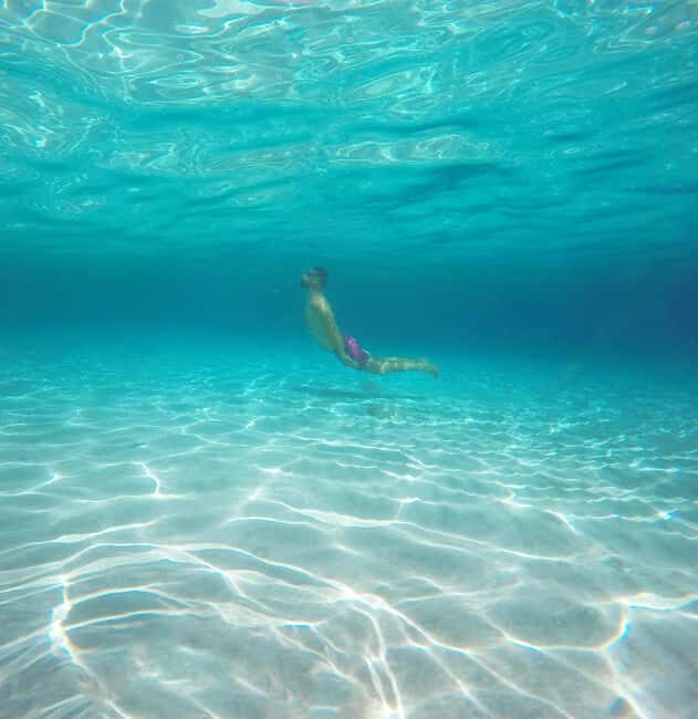 Akumal: Snorkeling with Marine Life and an Expert Tour Guide - The Sum Up