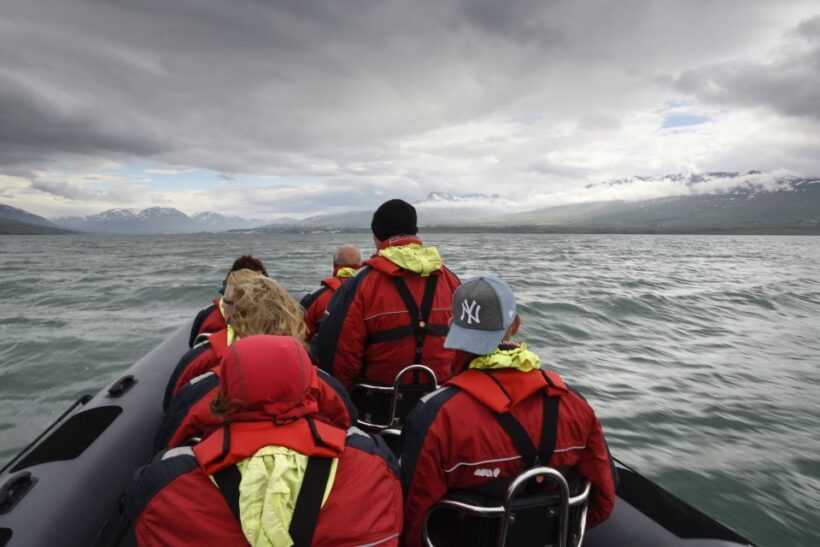 Akureyri: 2-Hour Whale Watching Express by RIB Speedboat - Weather and Equipment