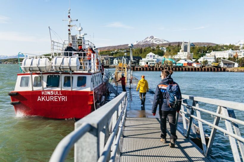 Akureyri: 3-Hour Classic Whale Watching Tour by Ship - Practical Tips for Your Trip