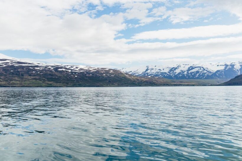 Akureyri: 3-Hour Classic Whale Watching Tour by Ship - Who Will Love This Tour?