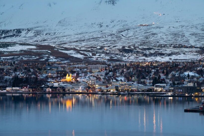 Akureyri: Arctic Coastline & Whale Watching - An In-Depth Look at the Tour Experience