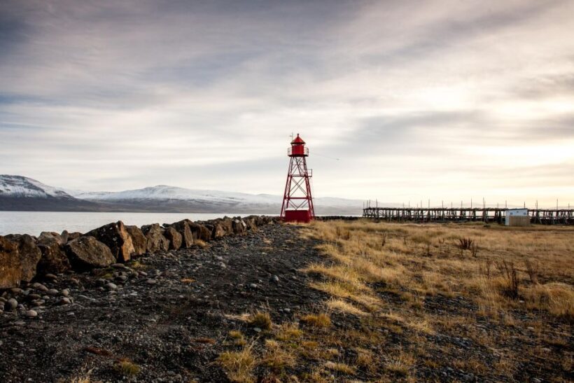 Akureyri: Arctic Coastline & Whale Watching - Who Will Love This Tour?