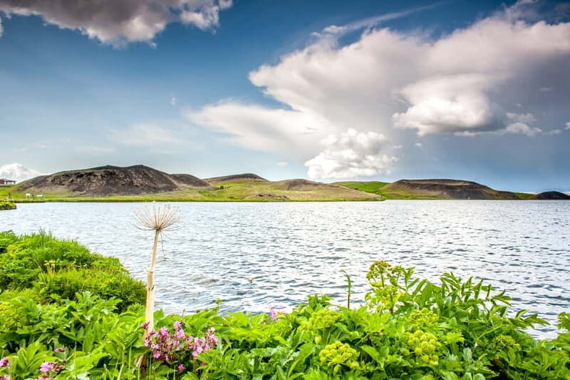 Akureyri Port: Lake Mývatn & Goðafoss Guided Tour with Lunch - Key Points