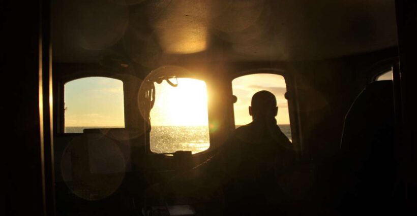 Akureyri: Whale Watching in the Midnight Sun - What You Can Expect on the Tour