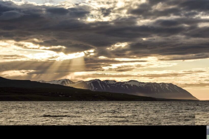 Akureyri: Whale Watching in the Midnight Sun - Authentic Reviews from Past Travelers