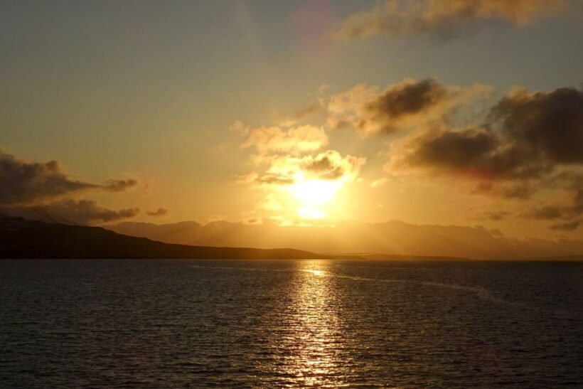 Akureyri: Whale Watching in the Midnight Sun - FAQs