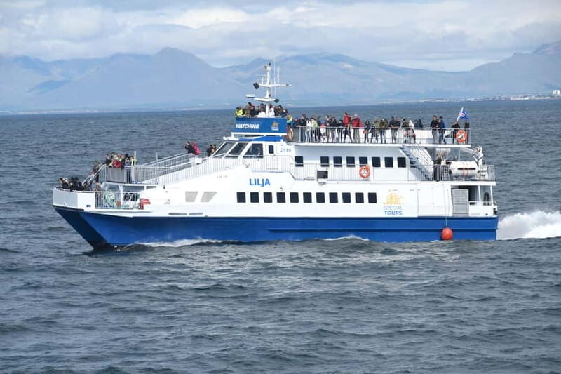 Akureyri: Whale Watching Shore Excursions - Authentic Encounters and Genuine Reviews