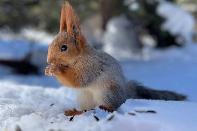 Ala Archa Nature Park Essential Tour - Key Points